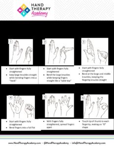 HandTherapyAcademy-TendonGlidesHEP | Hand Therapy Academy