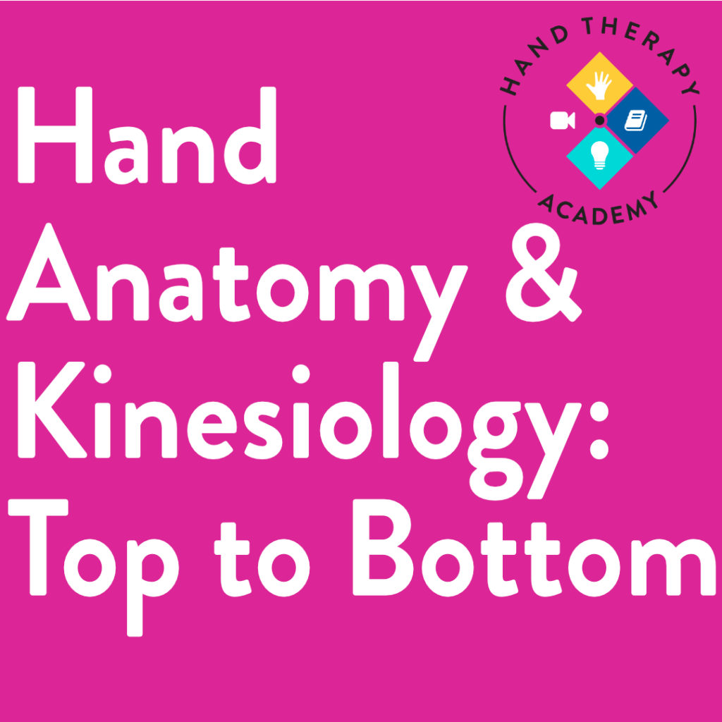 Hand Therapy Academy Home | Hand Therapy Academy
