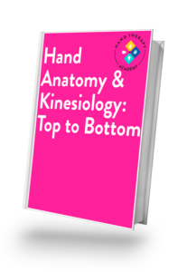 Anatomy and Kinesiology E-Book | Hand Therapy Academy