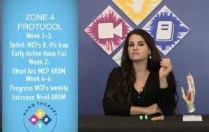 Extensor Tendon Zones | Hand Therapy Academy