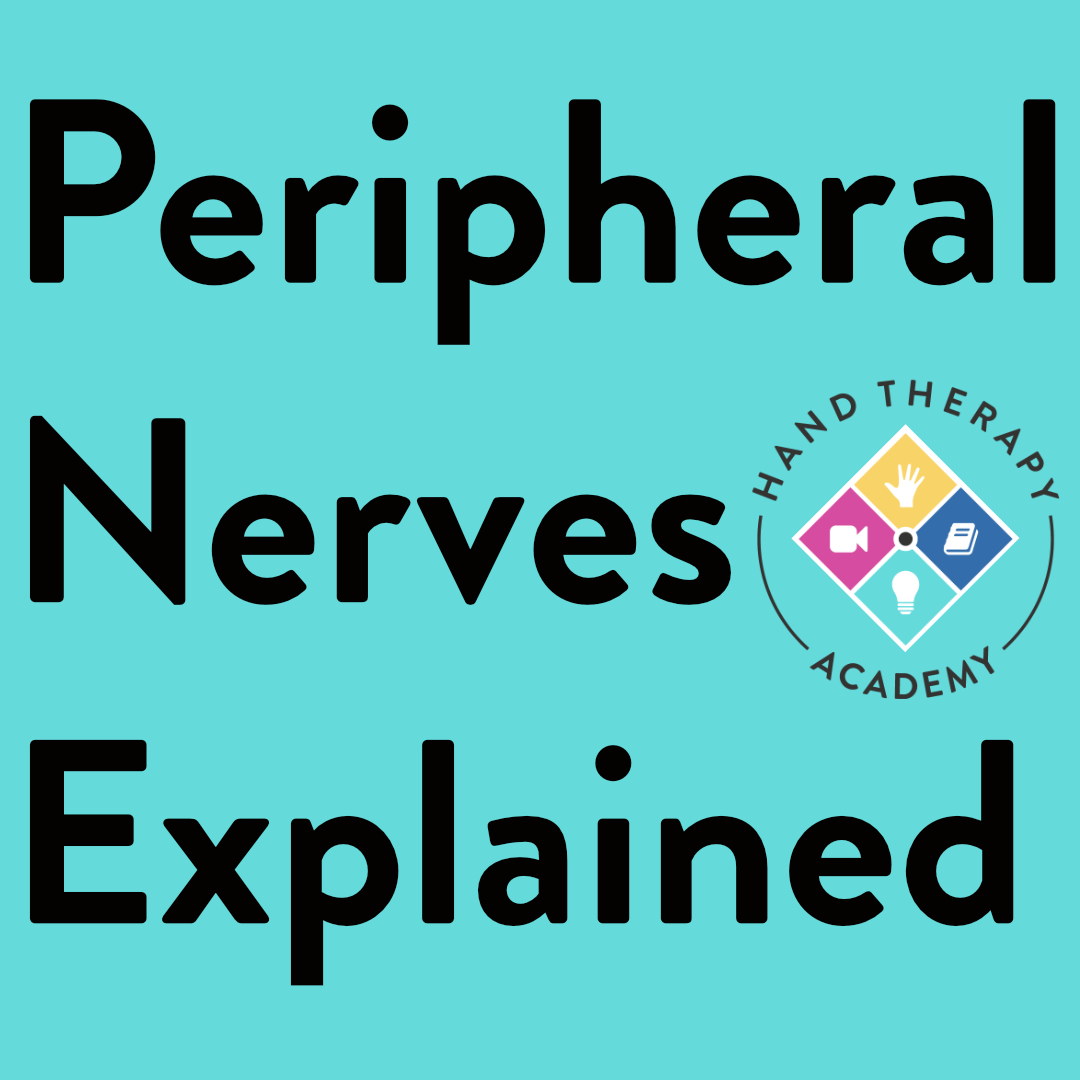 Hand Therapy Academy Home | Hand Therapy Academy