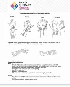 Tendon Transfer Training | Hand Therapy Academy