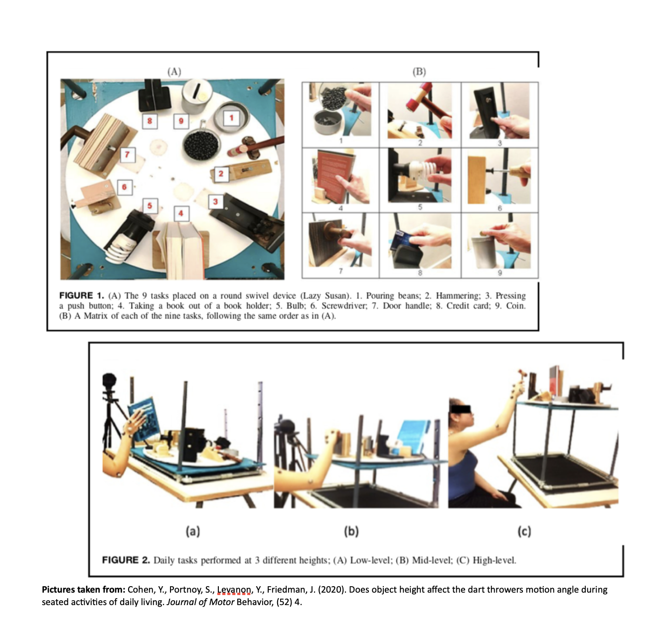 SL Ligament Injuries in Hand Therapy