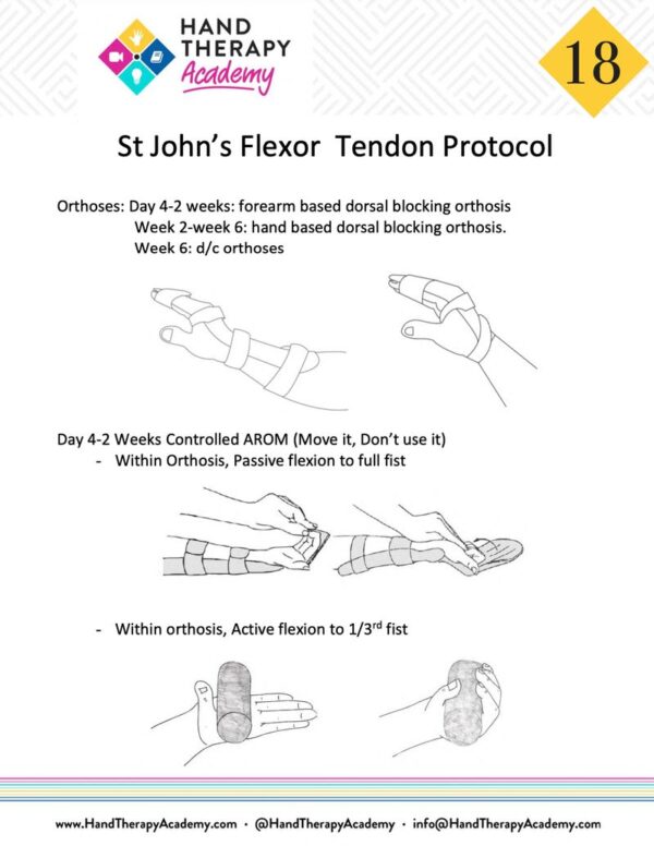 All Things Flexor Tendon E-Book | Hand Therapy Academy