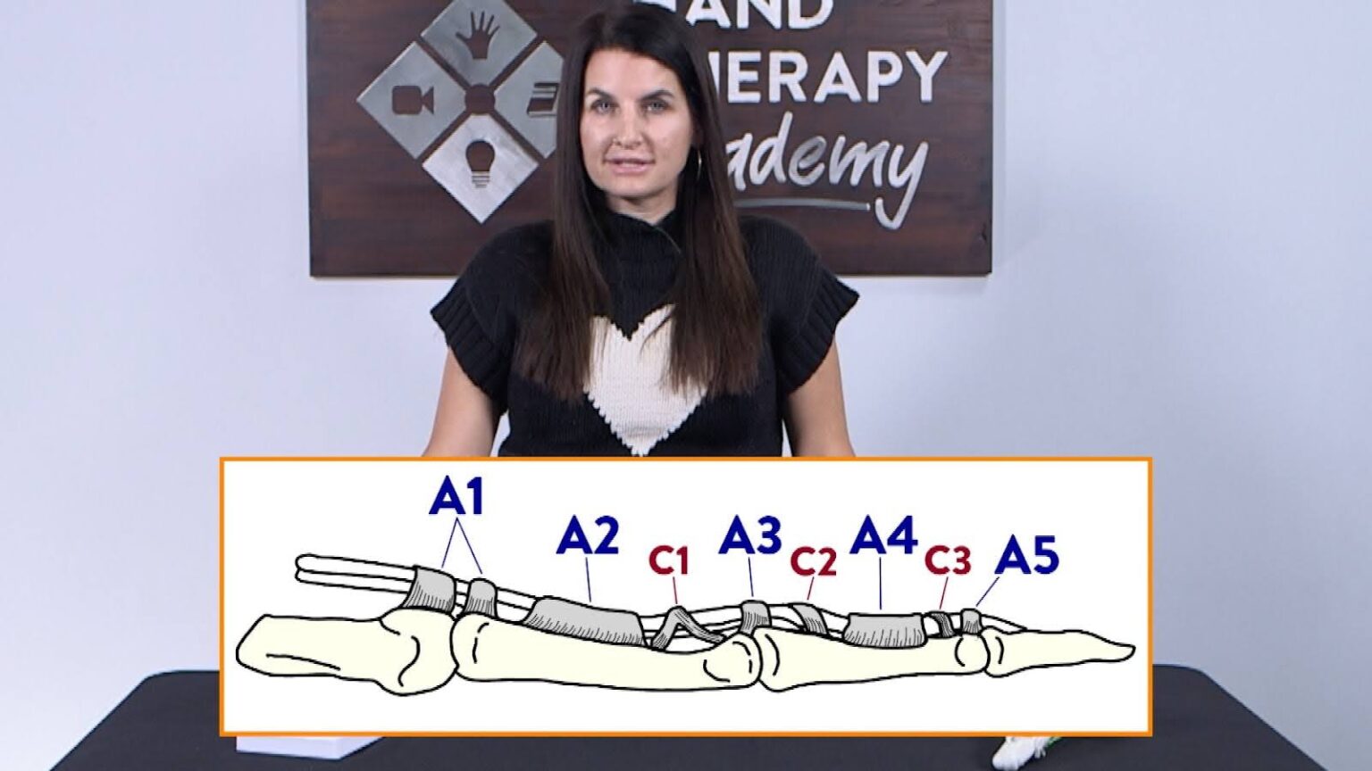 All Things Flexor Tendon | Hand Therapy Academy