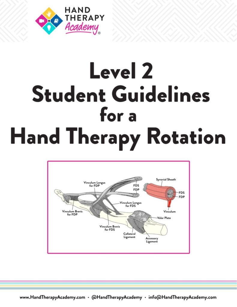 Guide des étudiants de niveau 2 (à gagner) | Hand Therapy Academy