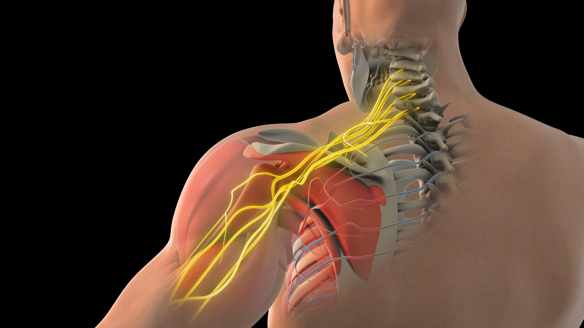 Cervical Spinal Cord Injuries Impact on Hand Function